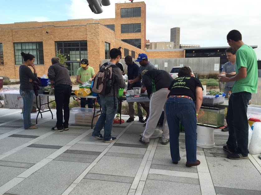 What You Need to Know About Cortex Commons This Season | EQ