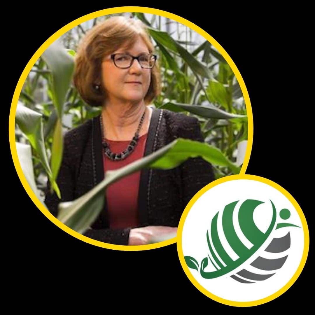 7 Insights From EQ's Ag Innovation Roundtable at STL Startup Week | EQ